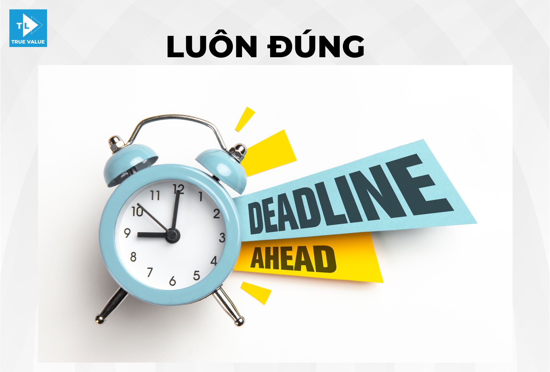 Dịch vụ viết bài quảng cáo đa lĩnh vực – Chất lượng, đúng deadline
